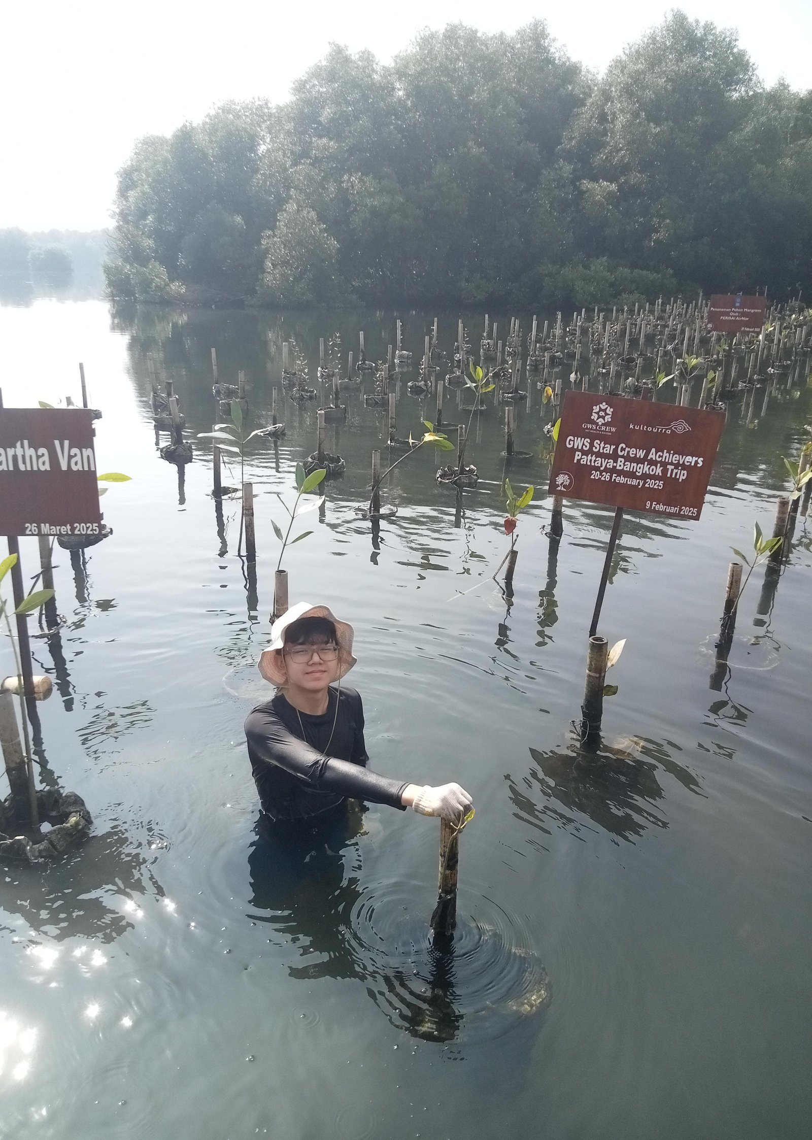 TWA Angke Kapuk | Detail Mangrove